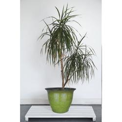 Master Garden™ 15" Plastic Green Planter at Menards®