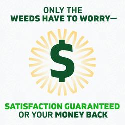 Spruce® Snap & Spray Weed & Grass Killer Powered Starter Kit - 64 oz ...