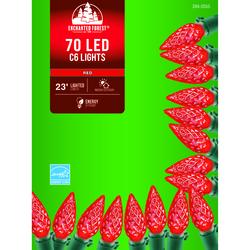 Enchanted Forest® 70-Light Red Faceted C6 Christmas String Light Set at ...
