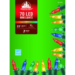 Enchanted Forest® 70-Light Multicolor Faceted Mini Christmas String ...