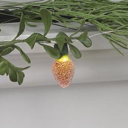 Enchanted Forest® 10-Light Sugared Gumdrops LED Battery-Operated ...