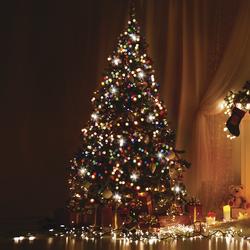 Enchanted Forest® 3-Pack Faceted C6 LED Replacement Lights - Assorted ...