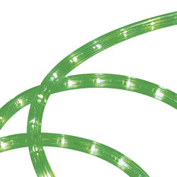 Enchanted Forest®18' LED Green Christmas Rope Light at Menards®