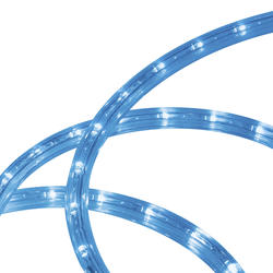 Enchanted Forest®30' LED Blue Christmas Rope Light at Menards®