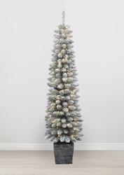 Enchanted Forest® 5-1/2' Prelit Snowy Pine Artificial Christmas Tree at ...