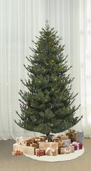 Enchanted Forest® 8' Prelit Admiral Sprue Artificial Christmas Tree at ...