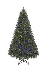 Enchanted Forest® 10' Prelit Alberta Spruce Artificial Christmas Tree ...