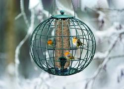 Enchanted Garden® Global Cage Bird Feeder at Menards®