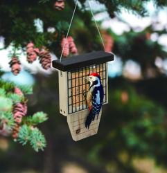 Enchanted Garden® Tail-Prop Suet Bird Feeder at Menards®
