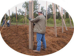 2 x 6 x 10' Laminated 3-ply Column SYP#1 at Menards®