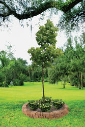 Versailles Outdoor Planter Ring Project Material List at Menards®