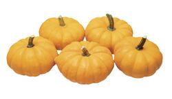 Mini Pumpkin - 5 pack at Menards®