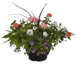 15" Combo Planter at Menards®