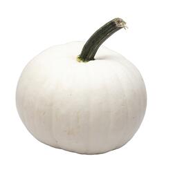 White Pumpkin at Menards®