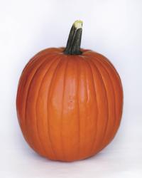 Regular Pumpkin at Menards®