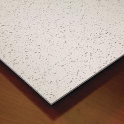 Genesis™ Standard PVC 2' x 2' White Printed Pro Drop Ceiling Tile at ...
