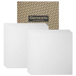 Genesis™ Standard PVC 2' x 2' White Stucco Pro Drop Ceiling Tile at ...