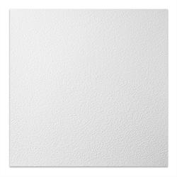 Genesis™ Standard PVC 2' x 2' White Stucco Pro Drop Ceiling Tile at ...