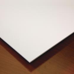 Genesis™ Standard PVC 2' x 2' White Smooth Pro Drop Ceiling Tile at ...