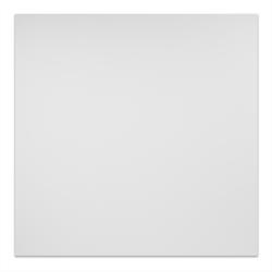 Genesis™ Standard PVC 2' x 2' White Smooth Pro Drop Ceiling Tile at ...