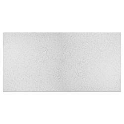 Genesis™ Standard PVC 2' x 4' White Printed Pro Drop Ceiling Tile at ...