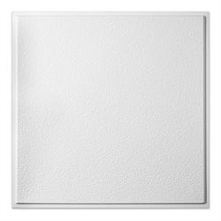 Genesis™ Revealed Edge PVC 2' x 2' White Stucco Pro Drop Ceiling Tile ...