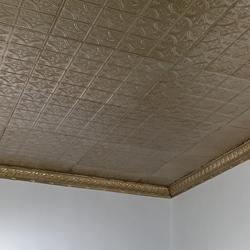 Great Lakes Tin 2ft x 2ft Hamilton Champagne Nail-Up Ceiling Tile at ...