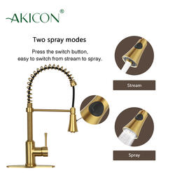 Akicon One-Handle Pull-Down Brushed Gold Kitchen Faucet at Menards®
