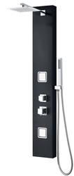 ALFI brand 2-Jet Black Aluminum Shower Panel with Rain Shower Head at ...