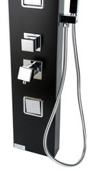 ALFI brand 2-Jet Black Aluminum Shower Panel with Rain Shower Head at ...
