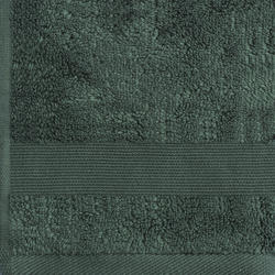 Irresistible 13" x 13" Zero-Twist Dark Ivy Washcloths - 6 Count at Menards®