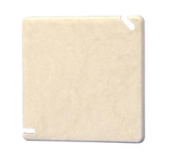 Allied Moulded Square 4" Blank Fiberglass Cover at Menards®