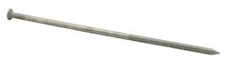 Grip Fast® 8" 80D Hot Dipped Galvanized Pole Barn Nail - 8 Count at ...
