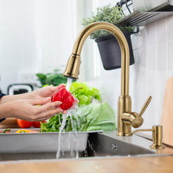 WOWOW® Single-Handle Pull-Down Brushed Gold Kitchen Faucet at Menards®