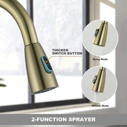 WOWOW® One-Handle Pull-Down Gold Kitchen Faucet at Menards®