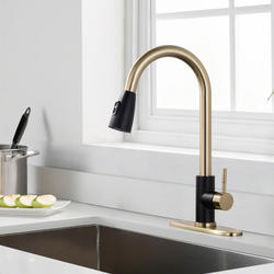 WOWOW® One-Handle Pull-Down Gold/Matte Black Kitchen Faucet at Menards®