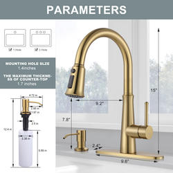 WOWOW® Single-Handle Pull-Down Brushed Gold Kitchen Faucet at Menards®
