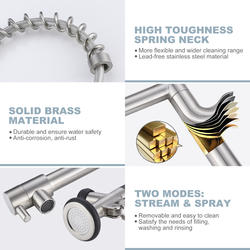 WOWOW® One-Handle Spring Pre-Rinse with Pot Filler Brushed Nickel Pull ...