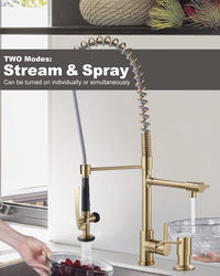 WOWOW® One-Handle Spring Pre-Rinse with Pot Filler Gold Pull-Down ...