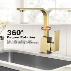 WOWOW® One-Handle Gold Kitchen Faucet at Menards®