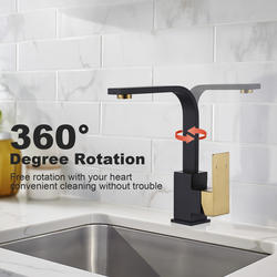 WOWOW® One-Handle Gold/Black Kitchen Faucet at Menards®