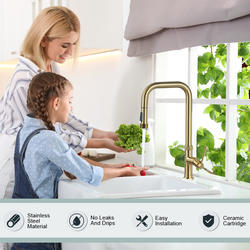 WOWOW® One-Handle Pull-Down Brushed Gold Kitchen Faucet at Menards®