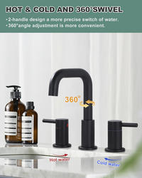 WOWOW® Two-Handle 8" Widespread Matte Black Bathroom Sink Faucet at ...