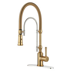 WOWOW® One-Handle High Arc Gold/Chrome Pull-Down Kitchen Faucet at Menards®