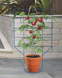 American™ GardenWorks 40" Planter Trellis - Sapphire at Menards®