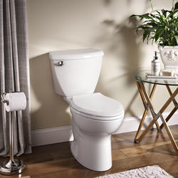 Eljer Diplomat™ 2-Piece White Tall Elongated Toilet at Menards®