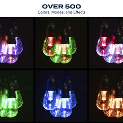 BrightLux® Lighting 24' 12-Light Color Flow LED String Light at Menards®