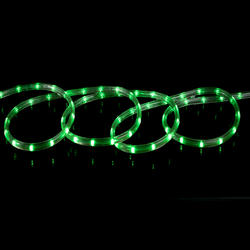 Patriot Lighting® 12' Color Changing LED Chasing Rope Light at Menards®
