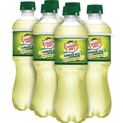 Canada Dry Ginger Ale and Lemonade Soda - 6 Pack at Menards®