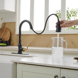 BWE® One-Handle Pull-Down Gold and Black Kitchen Faucet at Menards®